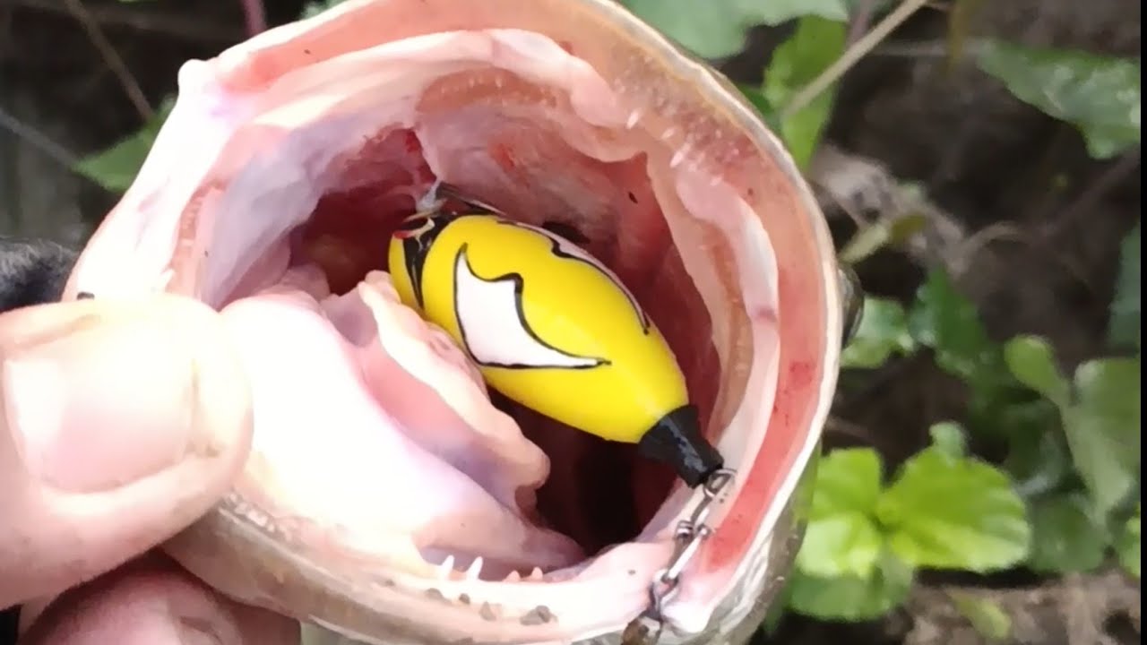 FULL STRIKE!! NEKAT CASTING NEROBOS PAGER SCURITY DANAU# ...