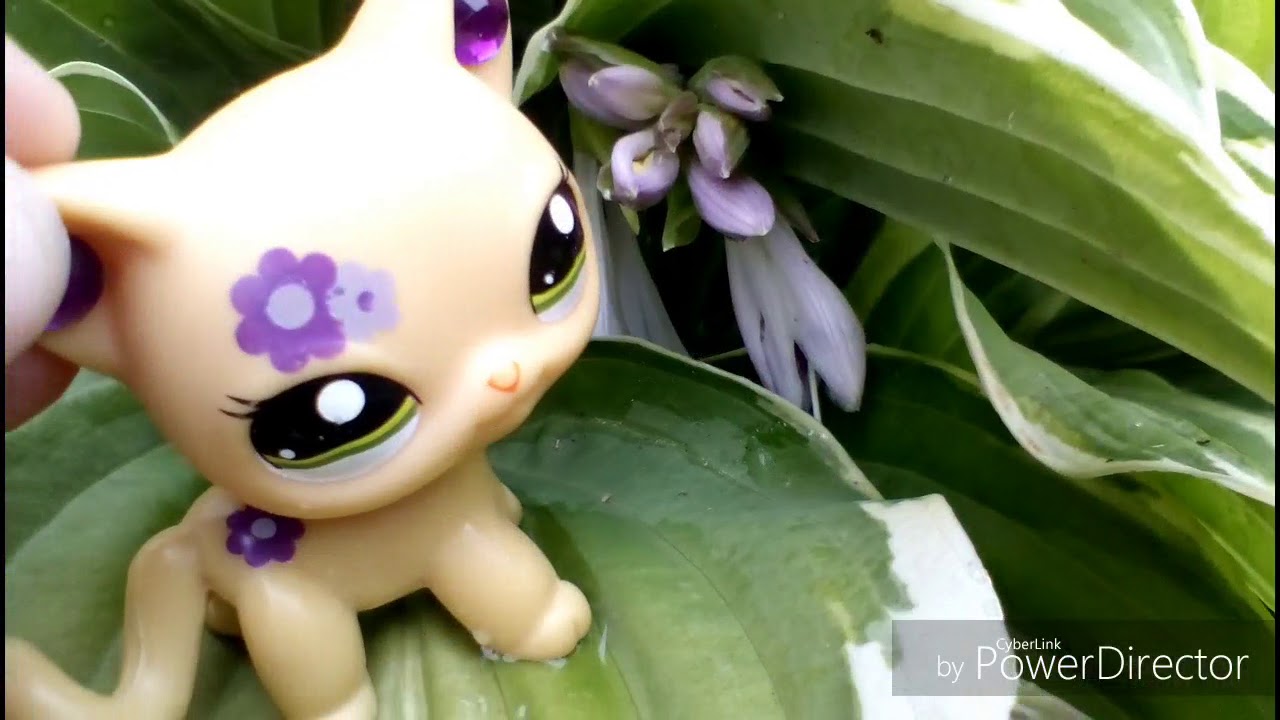 LPS: Клип BON BON - YouTube