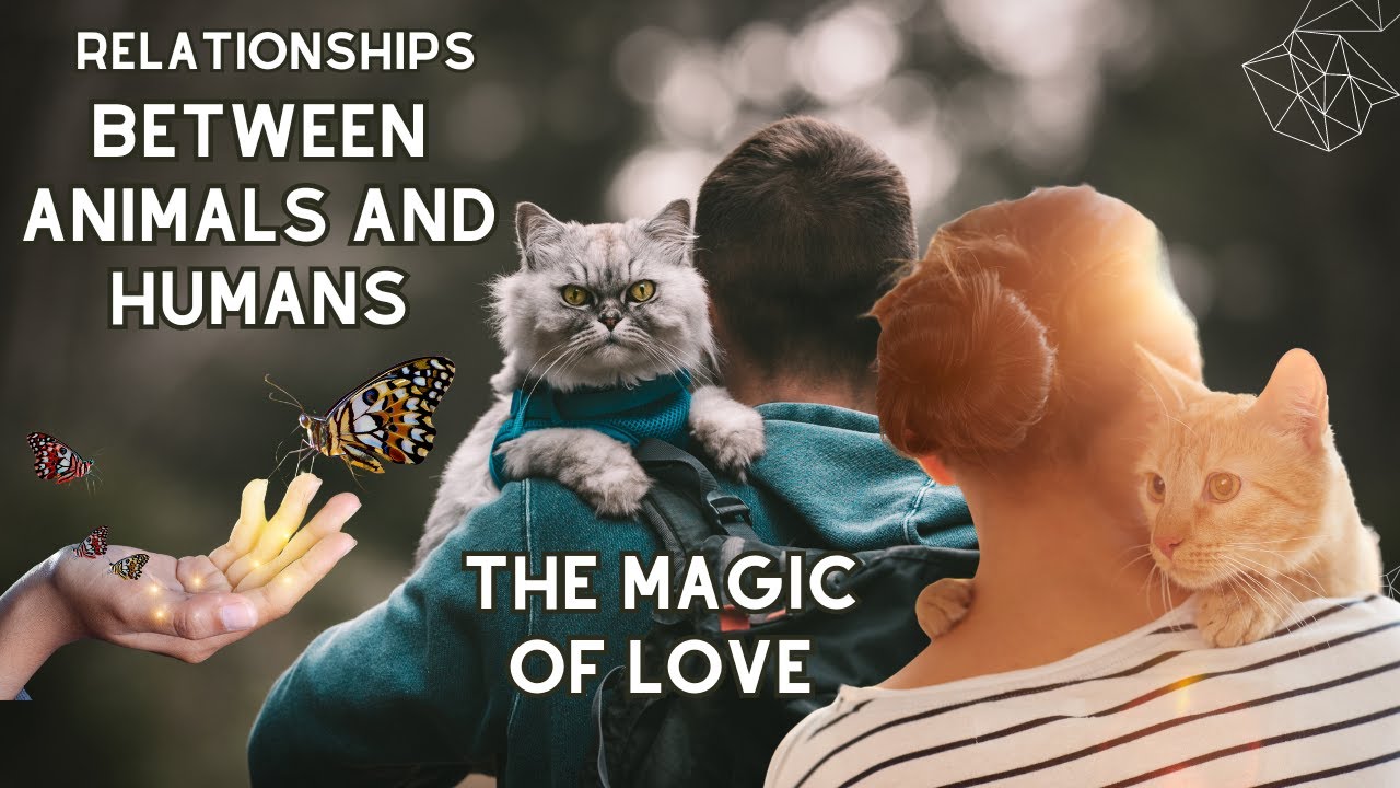 The magic of love: Incredible animal-human relationships amazing love ...