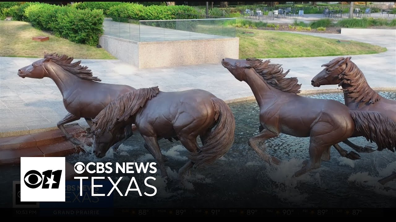 The Mustangs of Las Colinas celebrate 40 Years as iconic North Texas ...