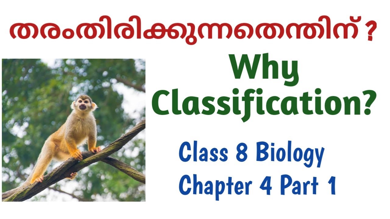 തരംതിരിക്കുന്നതെന്തിന്| WHY CLASSIFICATION |KERALA|CLASS 8|BIOLOGY ...