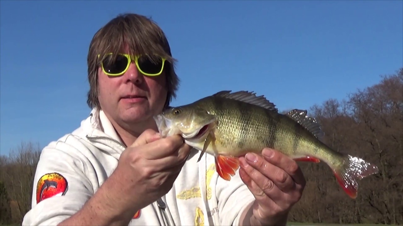 Forellenpuff im Sauerland - YouTube