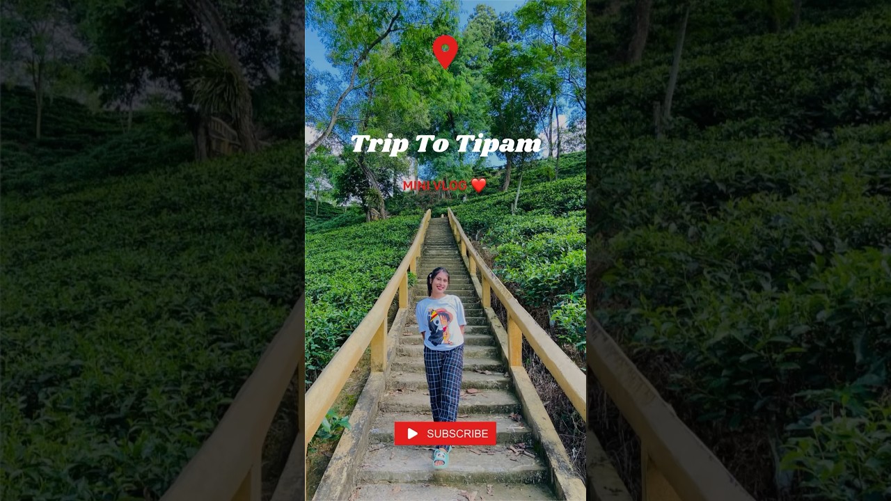 Trip to Tipam 😜😇 #greenery #tipam #minivlog #goviral #explorepage # ...