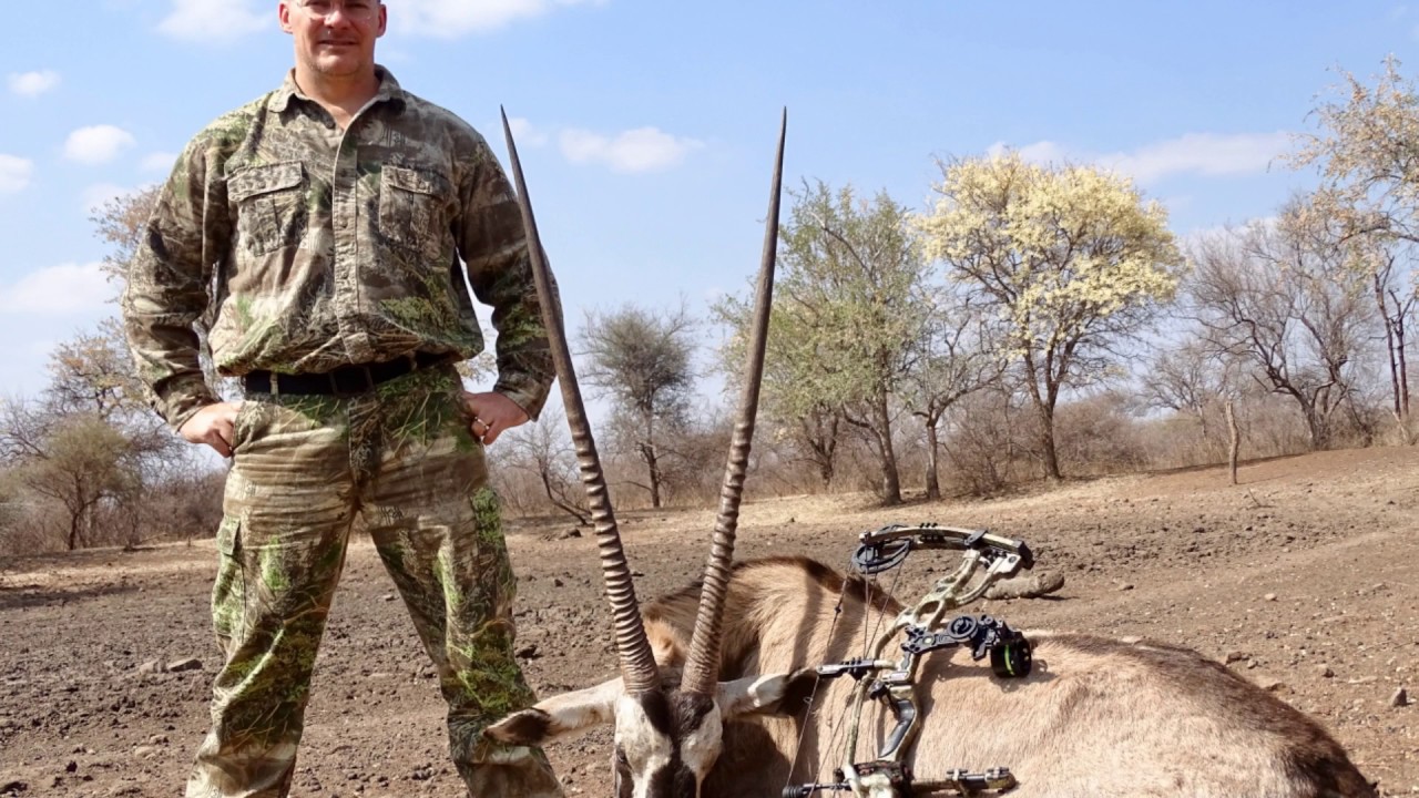 42 inch Gemsbok cow. Down in seconds with grim reaper. - YouTube