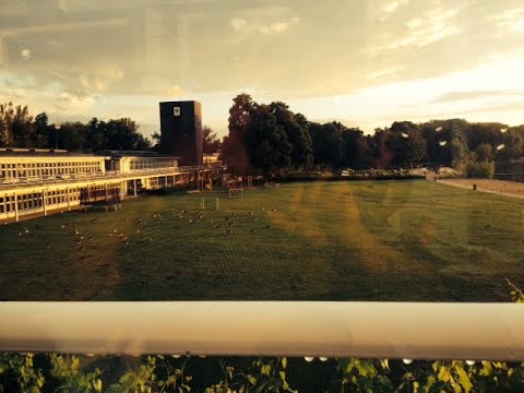 Netde (bir Chat-Ask-Arzu... Hikayesi) +18 by Sonhero Freestyle (ilk Bölüm) Pop Türkce, Turkish