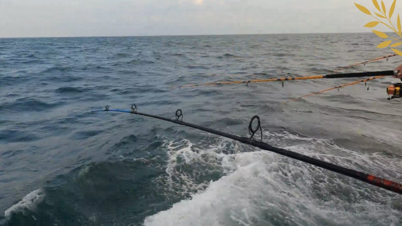 My 1st deep sea fishing experience! #deepseafishing - YouTube