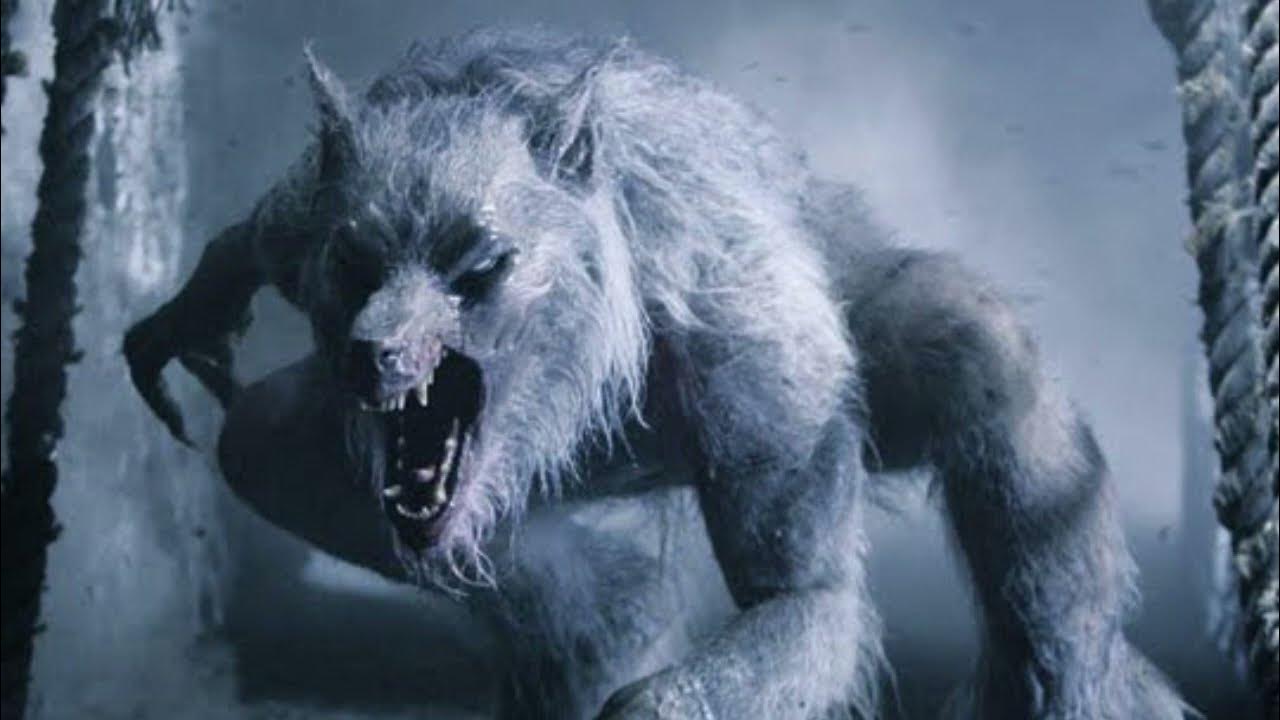 BESTIARIO LOBISOMEM ALBINO | CONTOS DA LUA CHEIA - YouTube