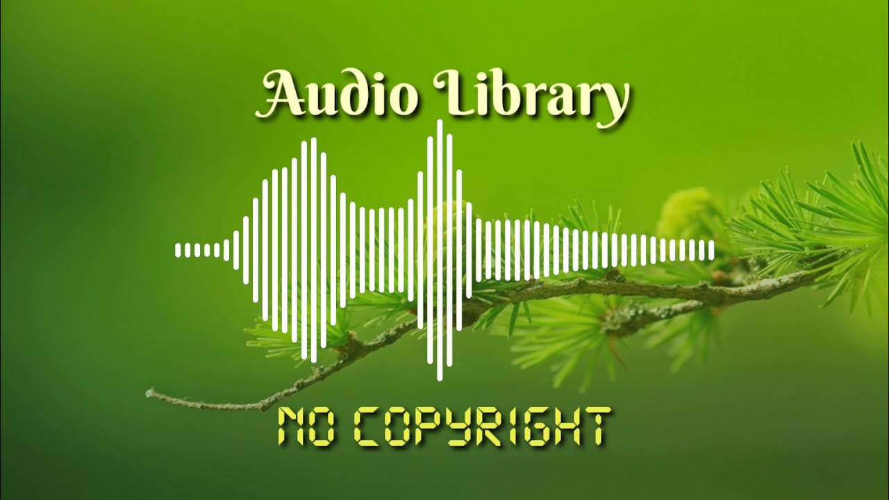Fluffing A Duck No Copyright Video Music You Can Use In Your fluffing-a-duck-no-copyright-video-music-you-can-use-in-your