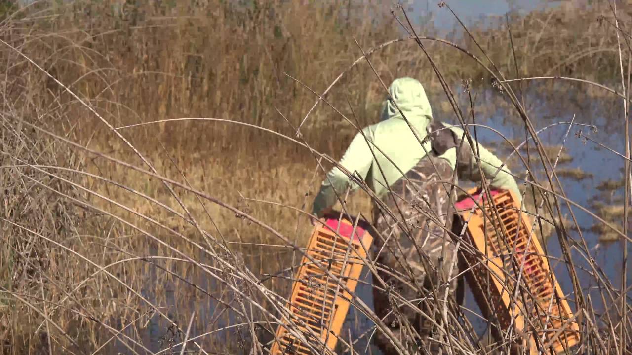 Rocket Netting Pintails with California Waterfowl - YouTube