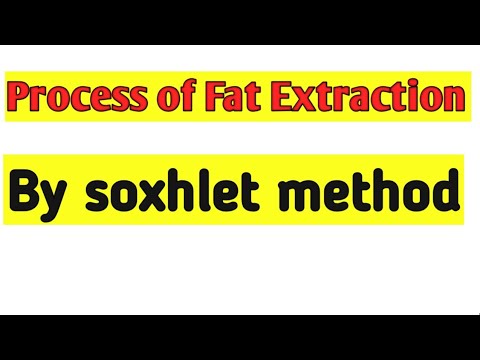Fat extraction process - YouTube