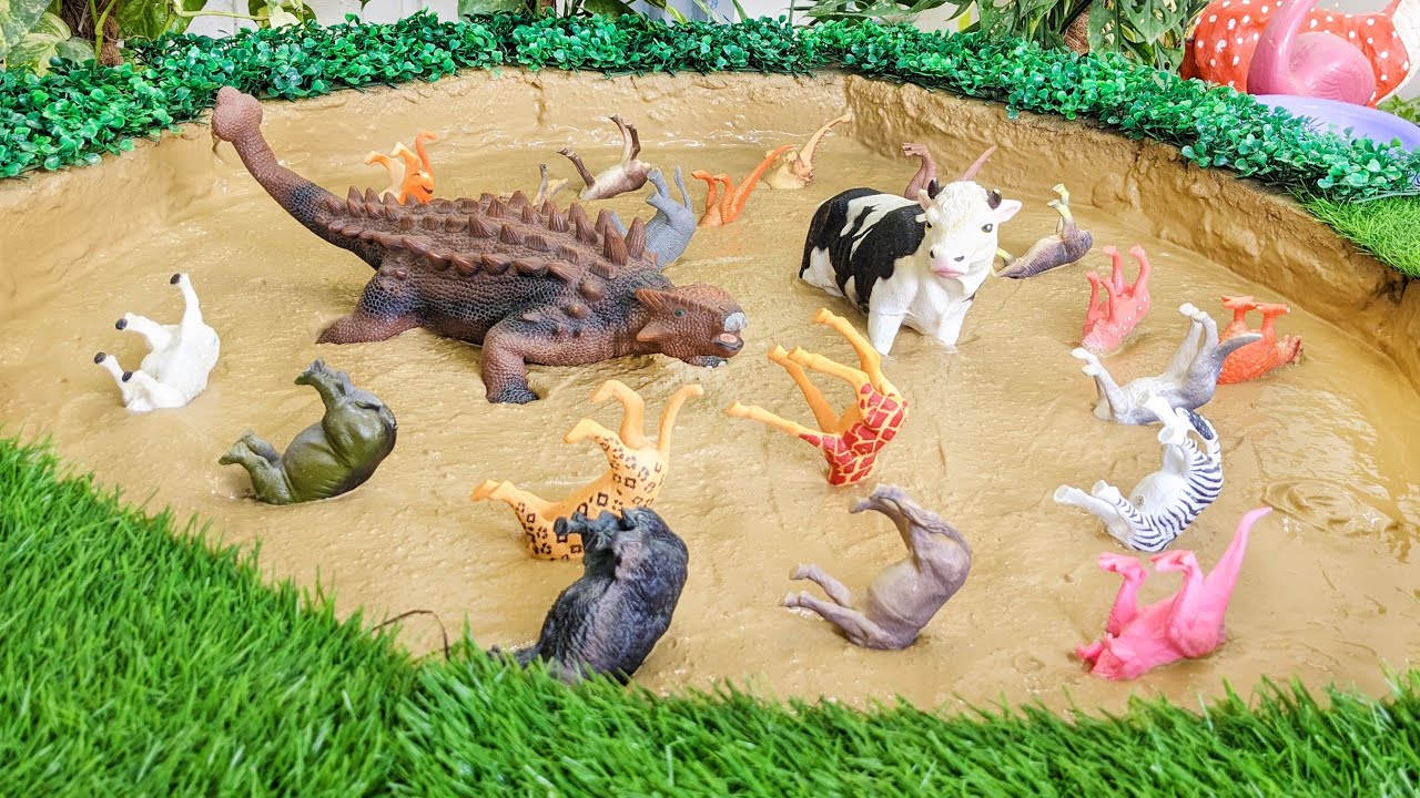 Animals Scary Moment: Desperate Mission to Save Wild Animals Stuck in ...