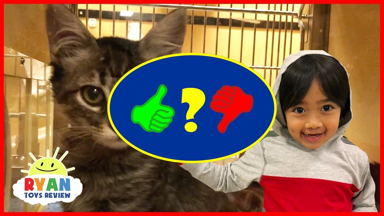 Ryan wants a Cat for Christmas - Video Review - YouTube