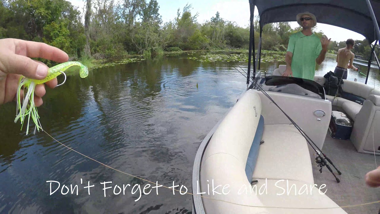 Epic Double Bass Catch!!! Fall Fishing Ep. 2 Fishing With Friends - YouTube