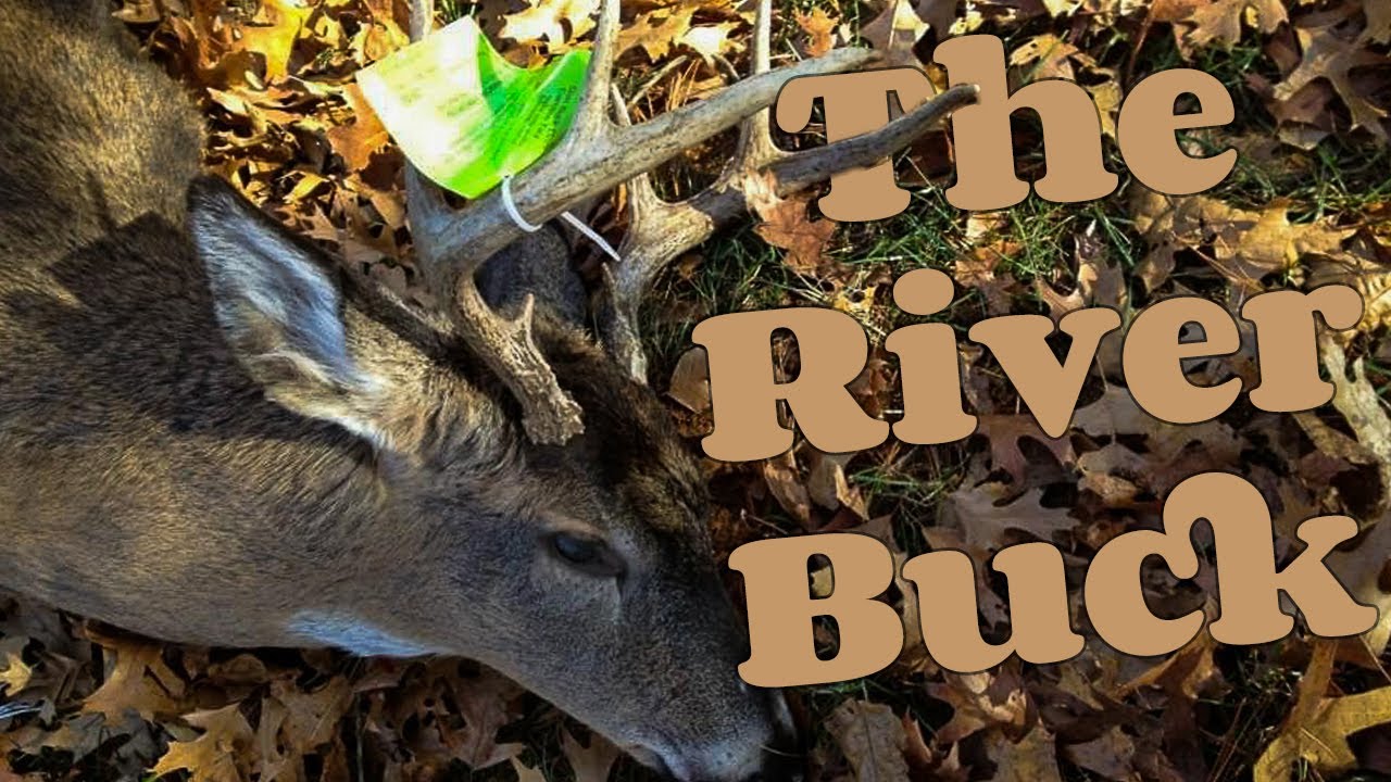 The River Buck | A Childhood Deer Hunting Story - YouTube
