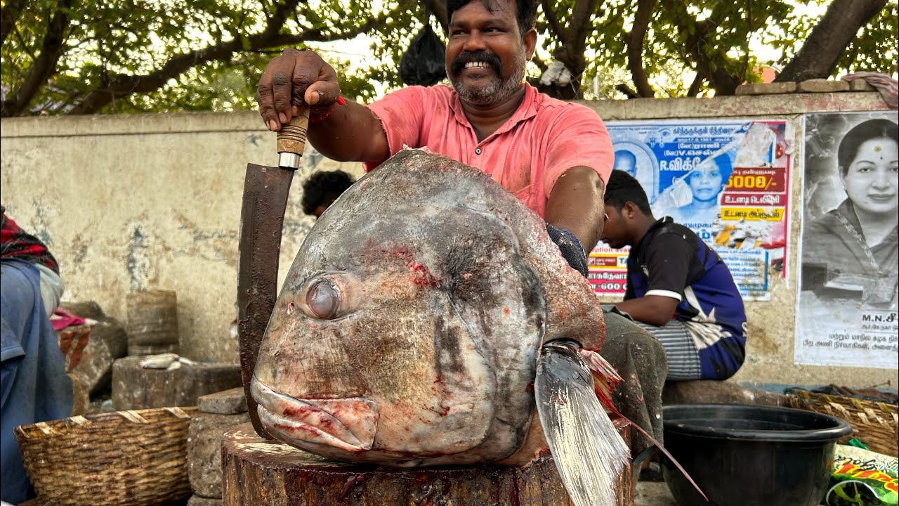 KASIMEDU CHEETAH DURAI 🔪🔪 PARRAI FISH HEAD FISH CUTTING # ...