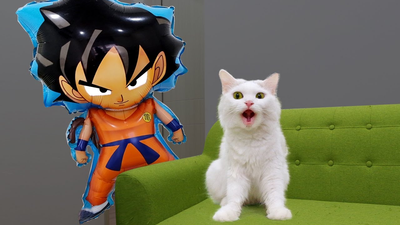 Cats vs Goku - YouTube