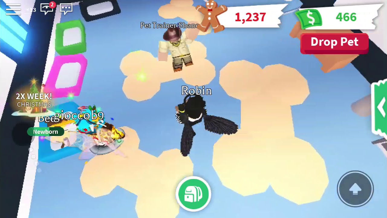 Glowing Robin in adopt me! - YouTube