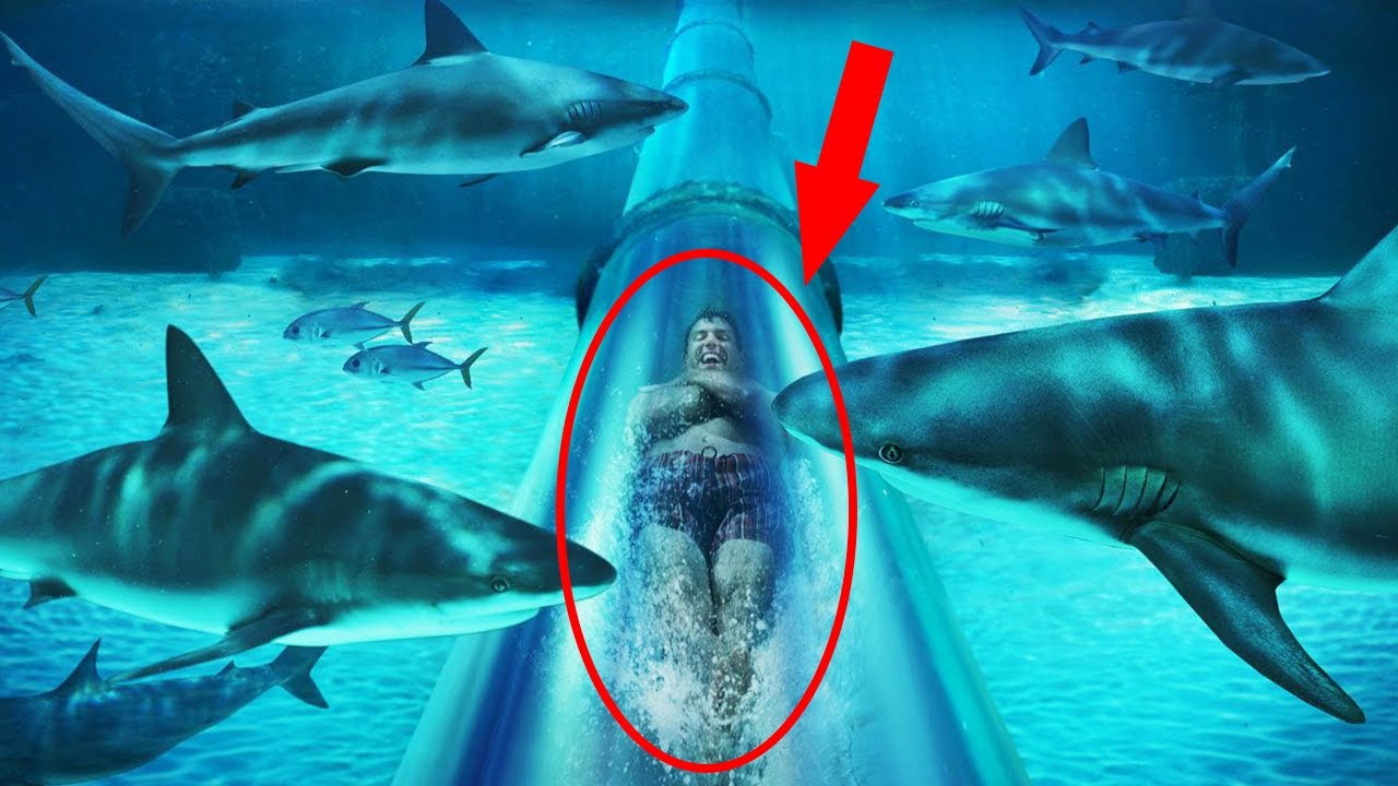 Most Dangerous Water-slides Ever! - YouTube