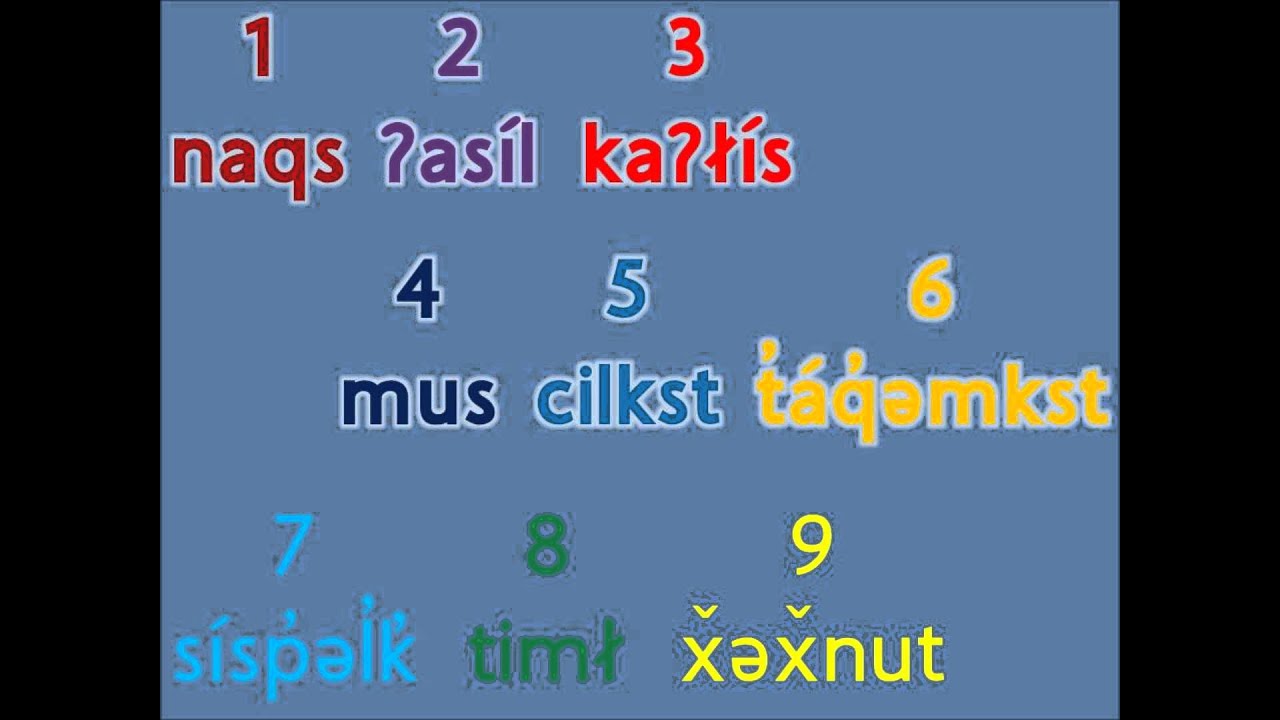 naqs ʔasíl (Numbers in Colville-Okanagan Salish) - YouTube