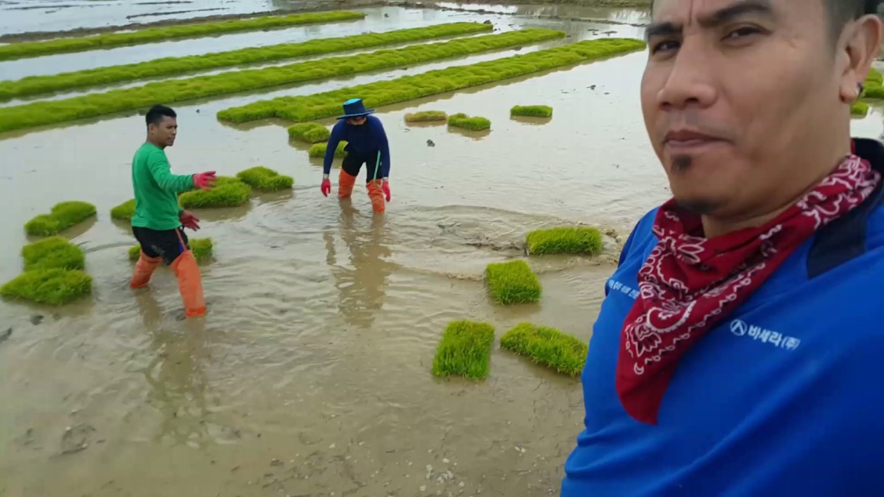 Mag bubukid 2 - YouTube