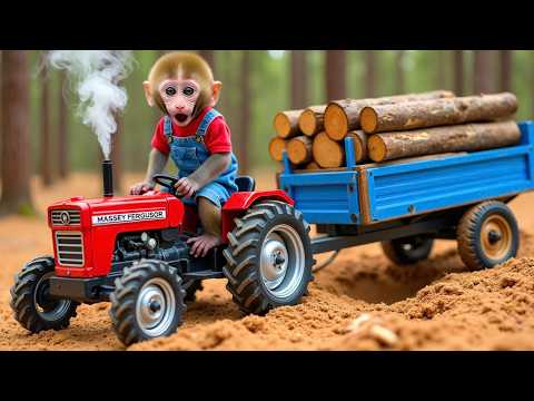 Monkey Nana drives the tractor into the forest and faces challenges while chopping trees