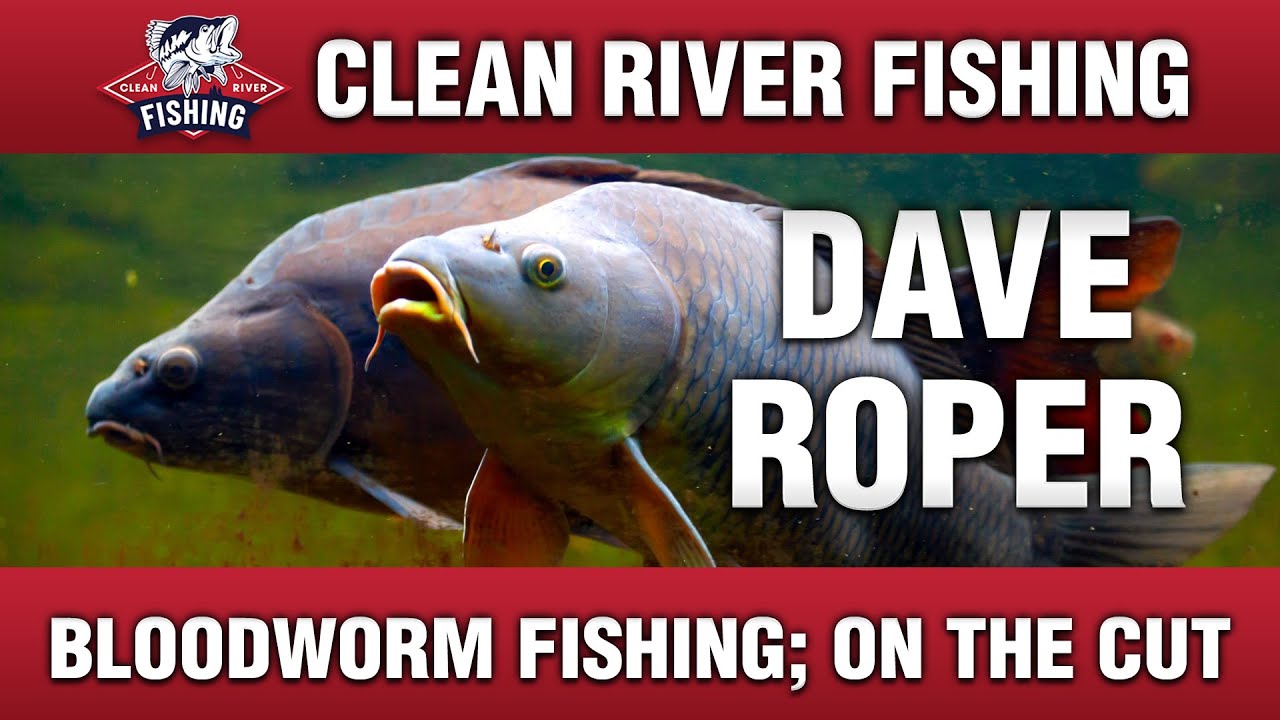 CRP023 DAVE ROPER - BLOODWORM FISHING; ON THE CUT - YouTube