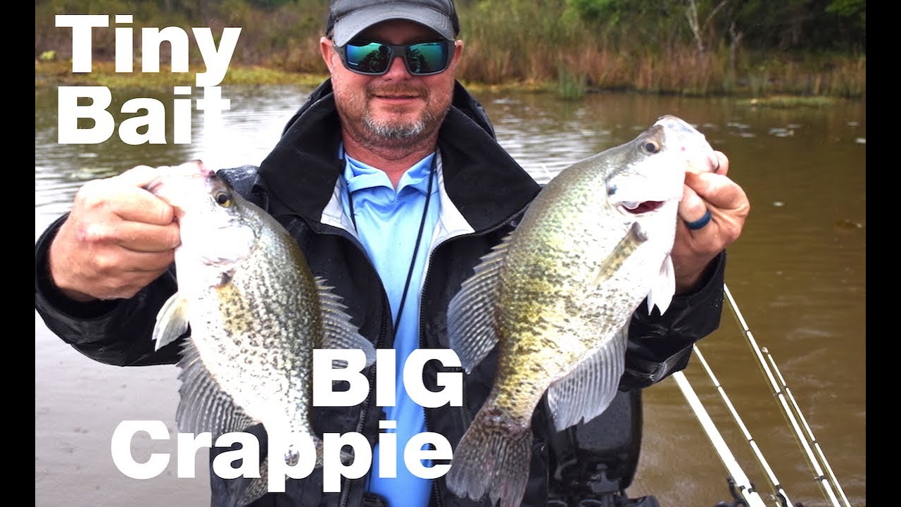 Bobby Garland adds Itty Bit Slab Hunt'R crappie bait - YouTube