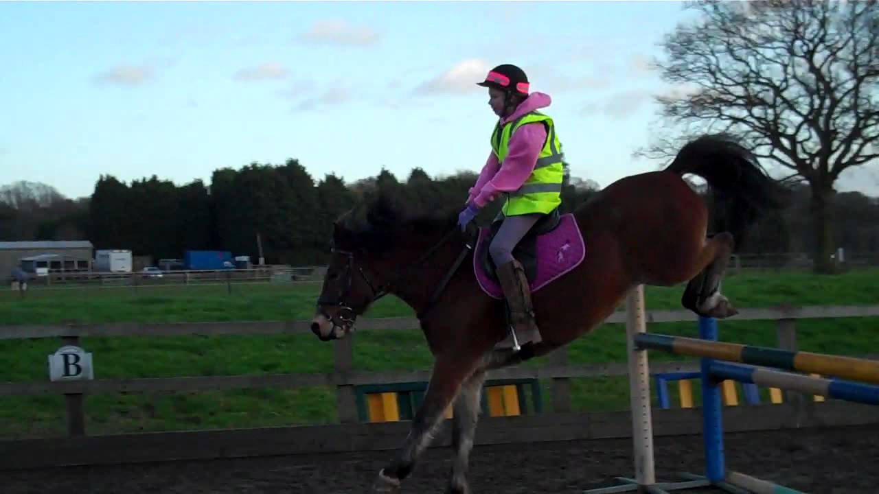 Jumping Bobby Dazzler 1 metre :) - YouTube