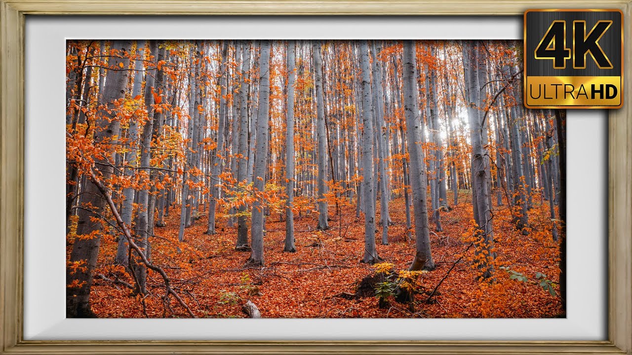 TV Wallpaper Background | Picture Frame TV Screensaver | Framed Art ...