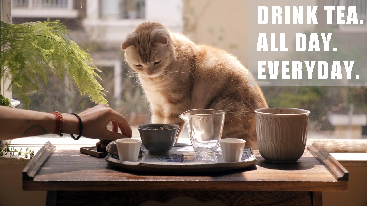 Drinking Tea All Day: How to Fit the Most Tea Into a Single Day - YouTube