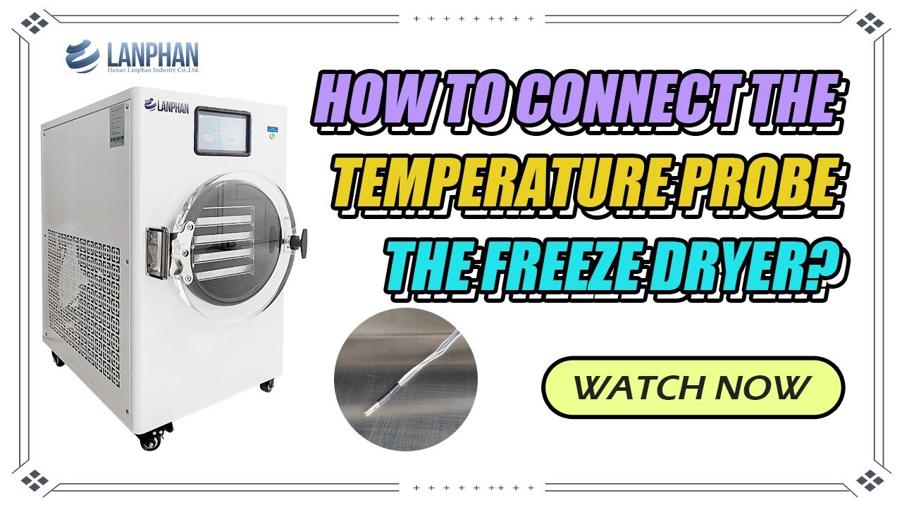 How to connect the temperature probe wire of the freeze dryer? - YouTube