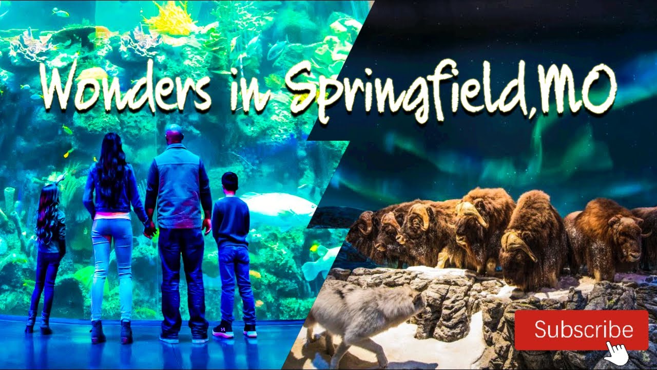 Wonders of wildlife aquarium Tour 2022 (Springfield MO) - YouTube