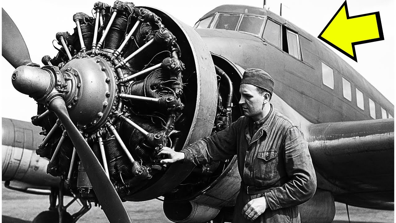 Bramo 323 Fafnir, der 9 Zylinder Sternmotor mit 1 000 PS, der die Fw ...