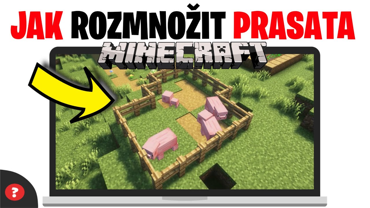 Jak rozmnožit prasata v Minecraftu | Návod | Minecraft - YouTube