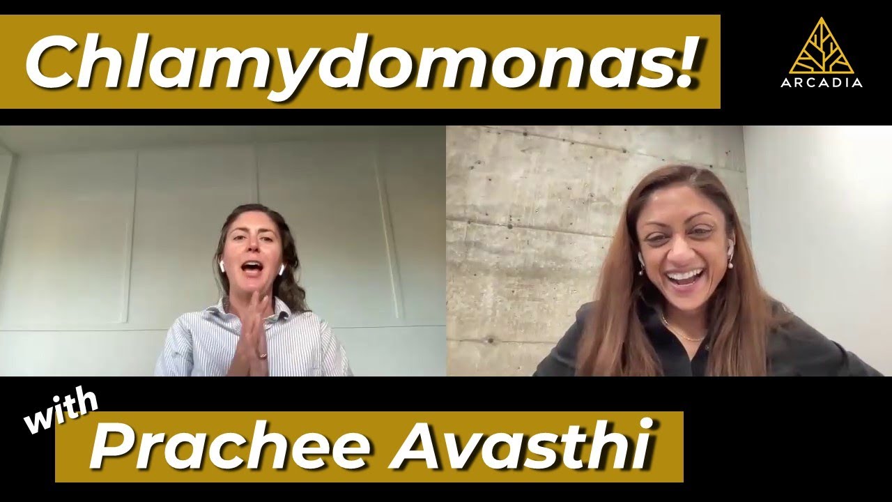 Why Study Chlamydomonas? Interview with Arcadia Co-Founder Prachee ...