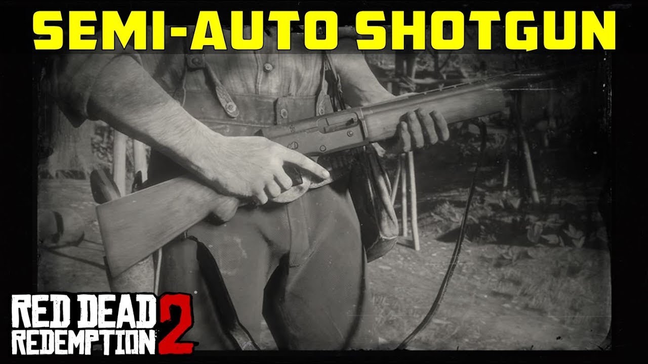 Location of Semi-Auto Shotgun | Watson's Cabin Cellar, Home Robbery ...