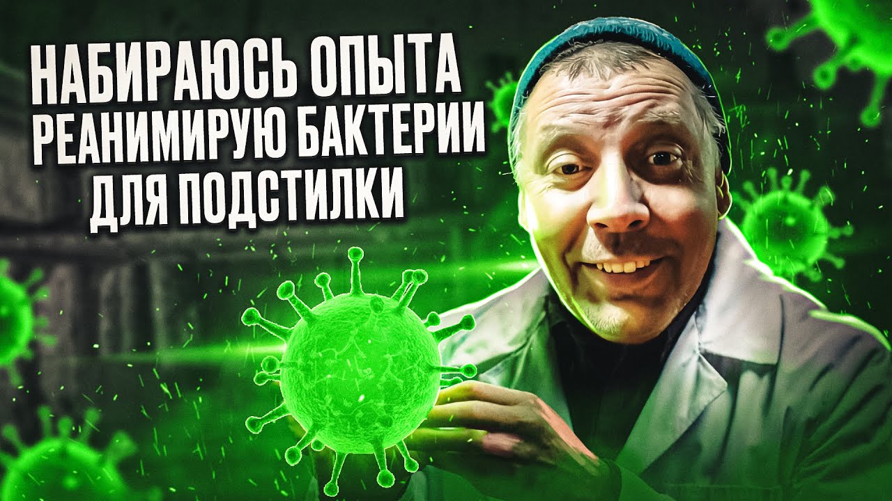 Живые бактерии-подстилка для свиней. Пытаюсь ее реанимировать для 10 ...