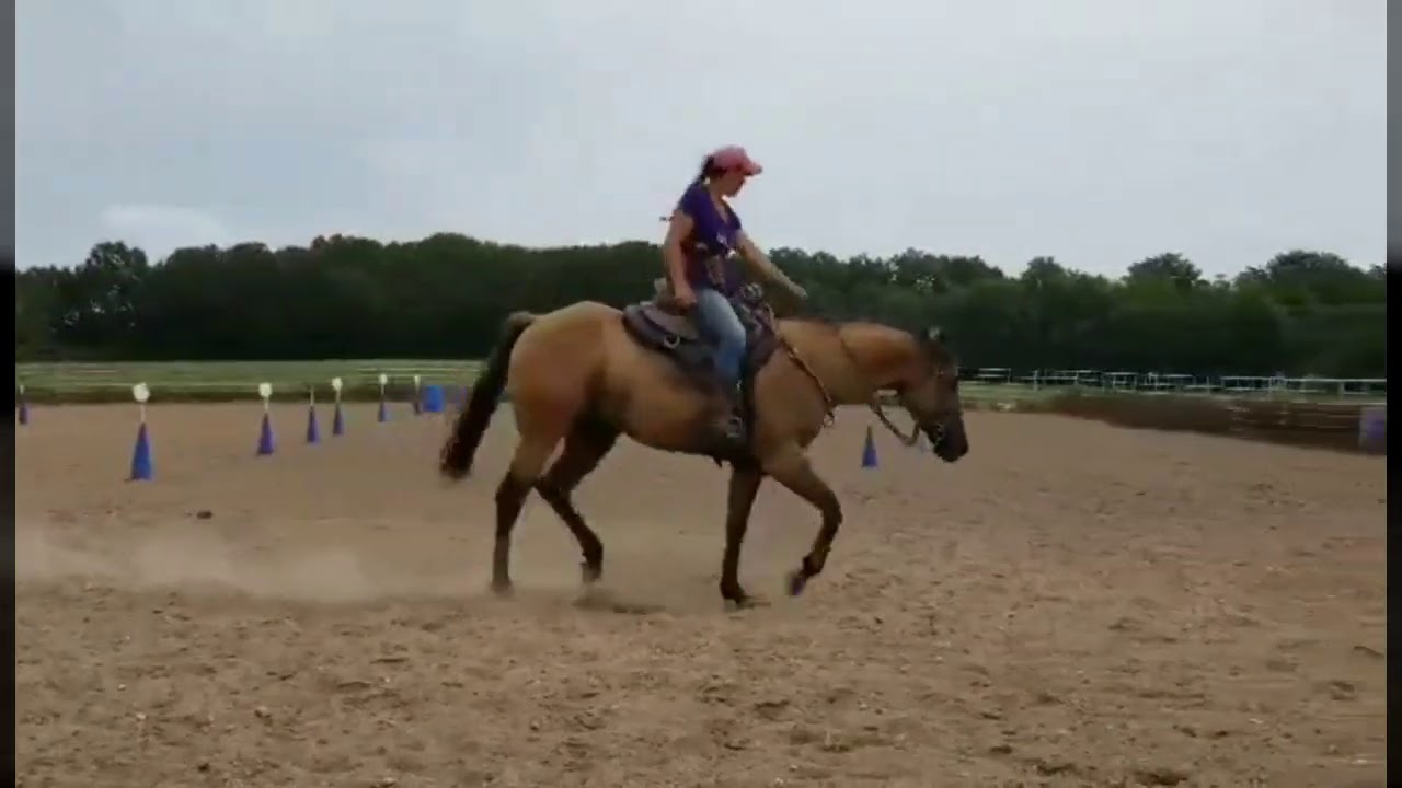 "Lucky" 2018 AQHA Dun gelding. Mounted shooting training - YouTube