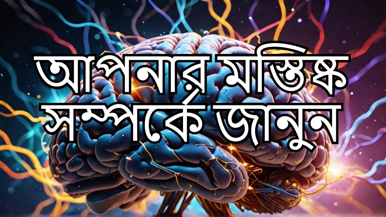 Mind Blowing Facts About Human Brain | Brain Secrets Bangla অবিশ্বাস্য ...