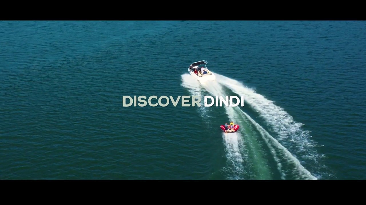 Discover Dindi - YouTube