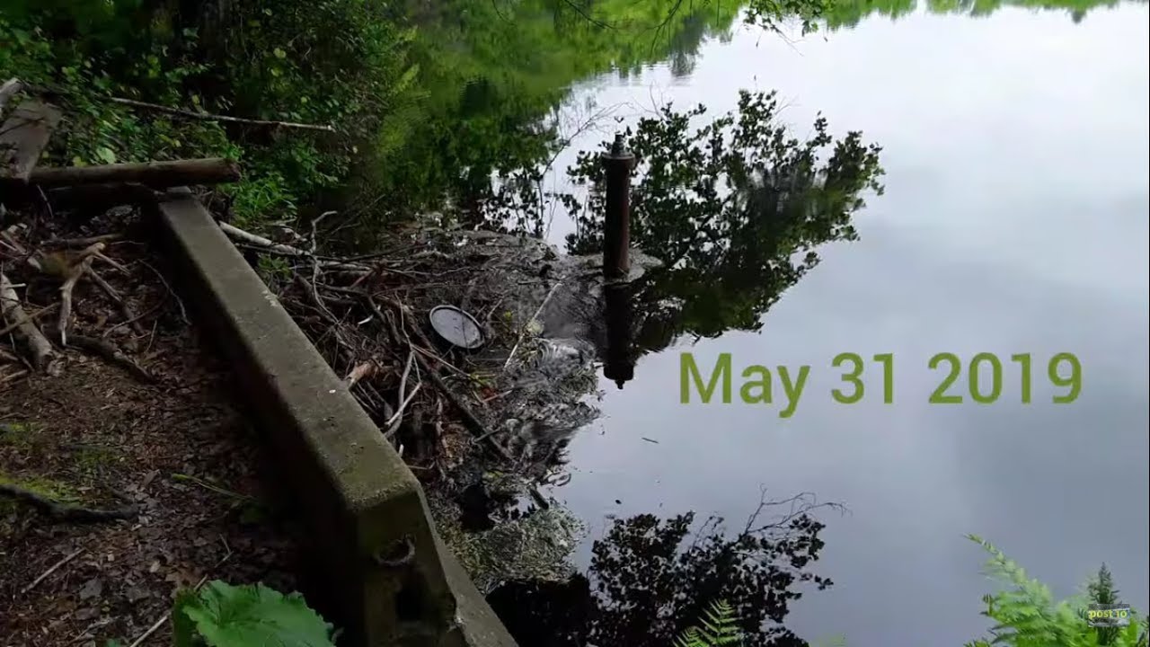Unclogging Giant Lake Drain Culvert, Clogged Up After A Storm Again ...