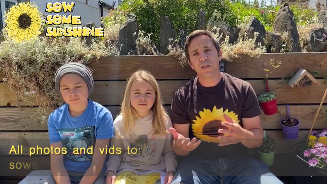 Sow Some Sunshine Certificate 01 - YouTube