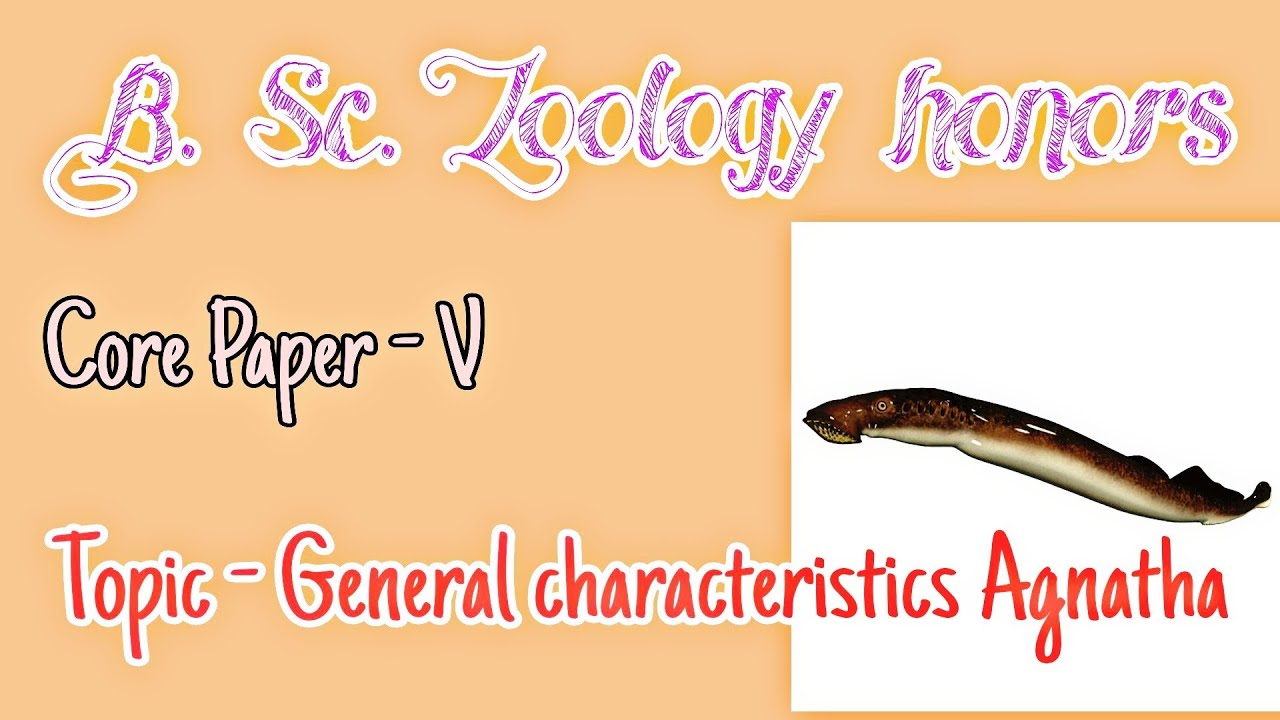 Agnatha - general characteristics - YouTube