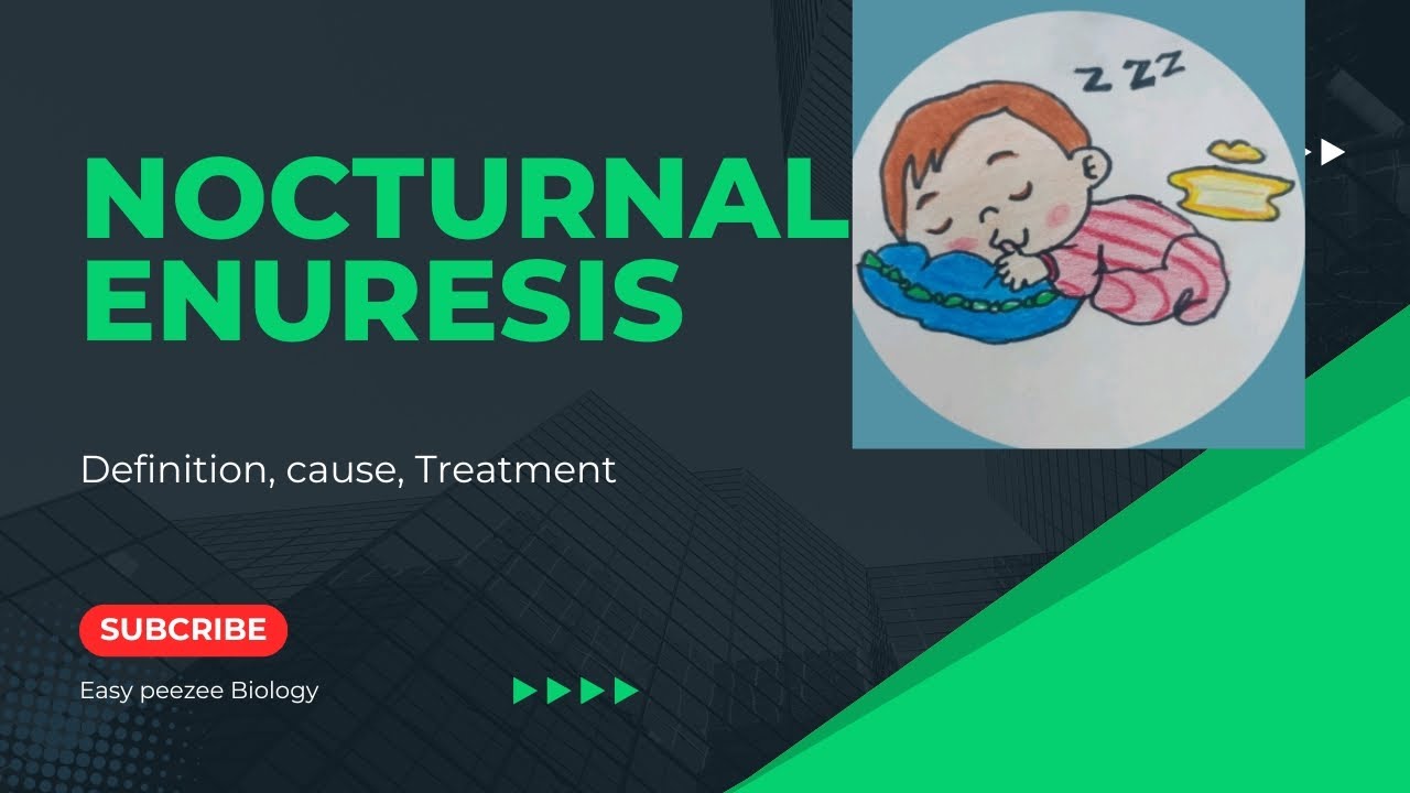 Nocturnal enuresis symptoms and definition - YouTube