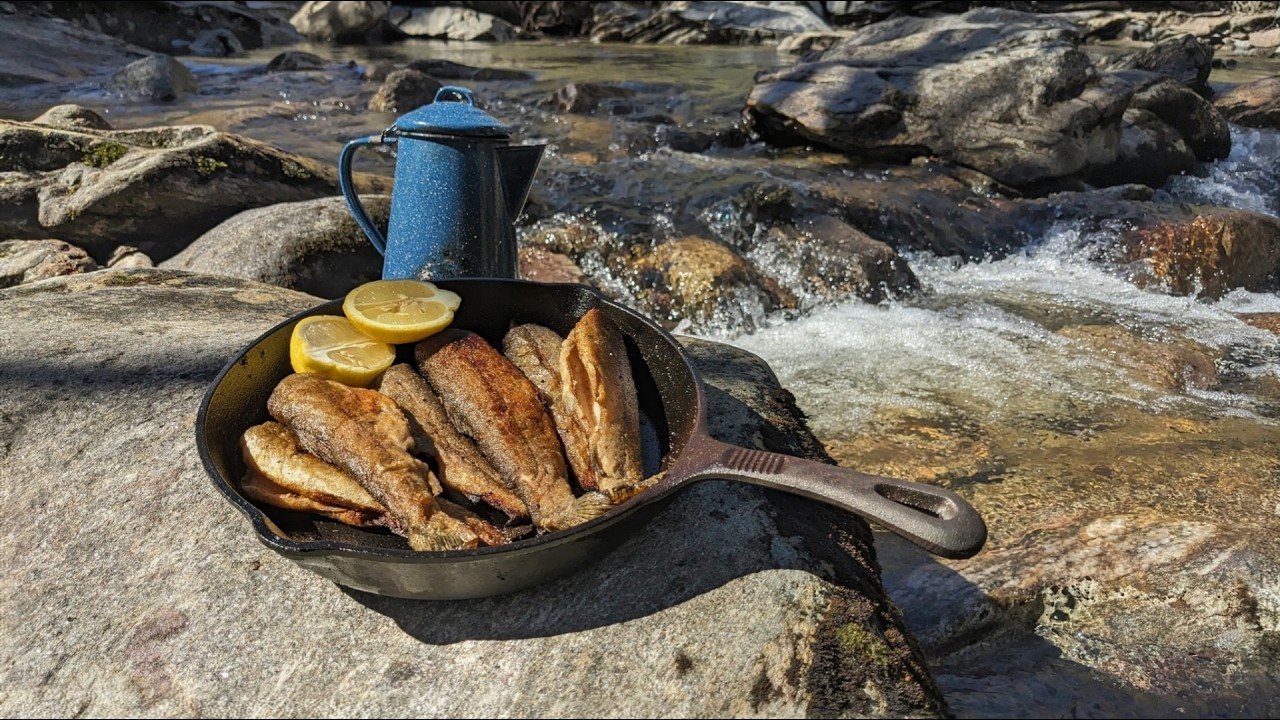 "Catch" & Cook Fresh Trout by a Mountain Stream | Stuffed Campfire ...