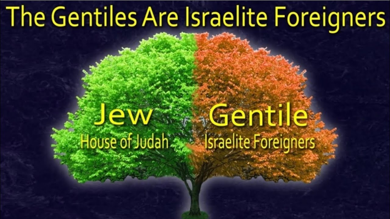 Who are the Gentiles part 1? Exclusively the bloodline of israelite ...