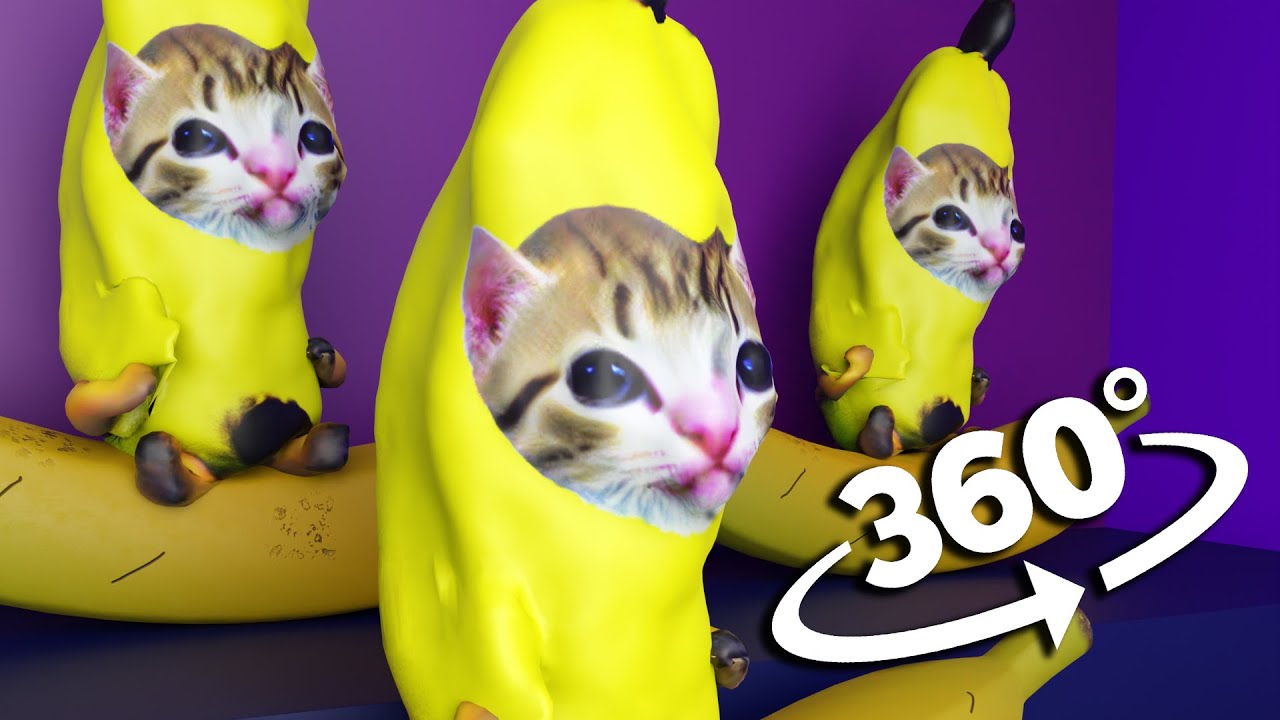 Banana Cat 360° CINEMA HALL | VR | 360° Experience - YouTube