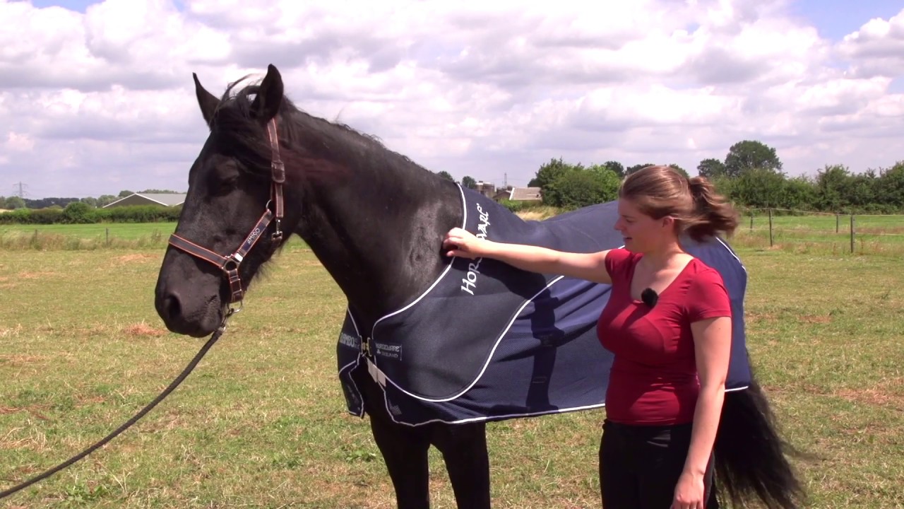 Horseware | Rambo Show Net Cooler - YouTube