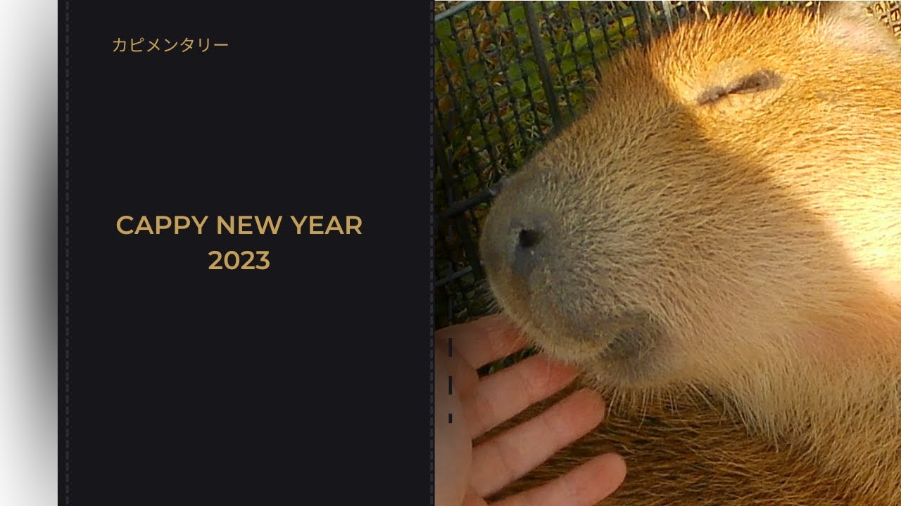 Cappy new year 2023!!!!! We all pull up this year!!!!! - YouTube