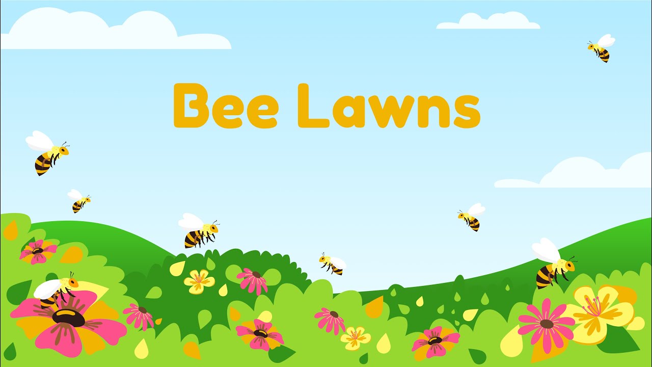 Bee Lawns | How to convert your lawn into a safe and pollinator ...